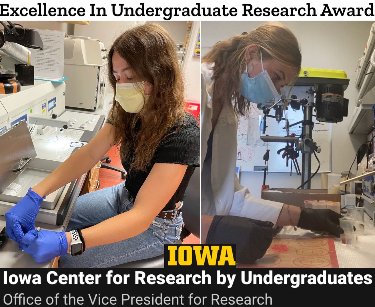 Byrne Lab | The University of Iowa
